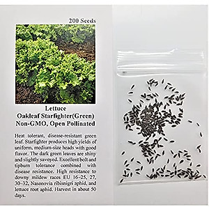 David's Garden Seeds Lettuce Oakleaf Starfighter (Green) 200 Non-GMO, Open Pollinated Seeds