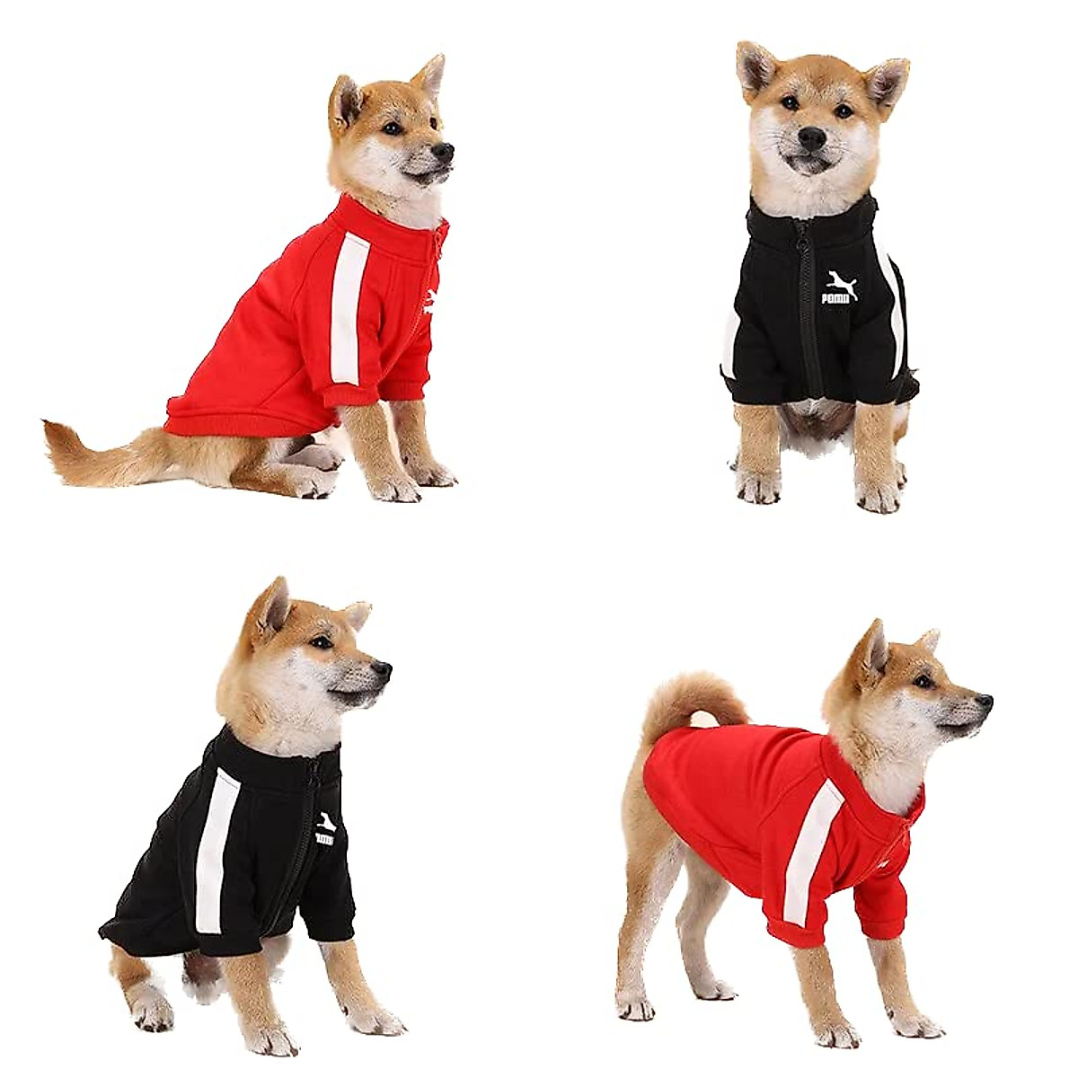 Stylish and Athletic Pomii Small Dog Zip-Up Jacket and Sweater (X-Large, Red). Show Off Your Dog's Athletic Side with This Sweater/Jacket.