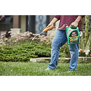 Ortho WeedClear Lawn Weed Killer Ready-to-Use Refill: For Northern Lawns, 1.33 gal.