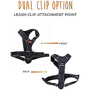 Mighty Paw Sport Harness, No-Pull Front Attachment Dog Harness, Neoprene Padded Lining, Reflective Stitching, 2 Leash Attachment Options (X-Large, Black)