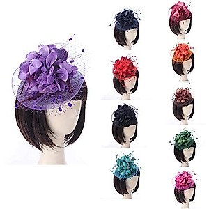 Derby Netting Mesh Headband,BOLUBILUY Feather Big Flowers Hair Band Tea Party Girls Women Wedding Bridal Fascinator Hat