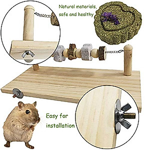 kathson Hamster Wood Ledge Platform Chewing Toys Chinchilla Cage Accessories Guinea Pig Teeth Grinding Lava Blocks Pet Molar Grass Cake Natural Apple Sticks for Mouse Rat Gerbil Dwarf Hamster 11PCS