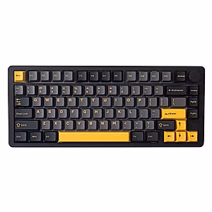 GK GAMAKAY TK75PRO Aluminum Alloy Mechanical Keyboard, Gasket Mounted, Hot Swappable KTT Hyacinth Switch 2.4GHz Wireless BT5.0/USB-C 75% 81 Keys Custom RGB Gaming Keyboard for Win/Mac (Milky White)