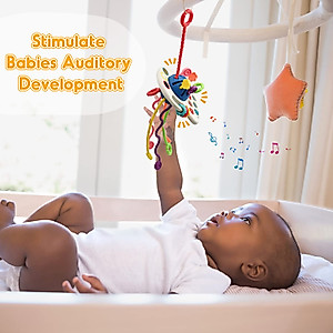 AiTuiTui Sensory Montessori Baby Toys 6 to 12 Months, Toddler Travel Toys for 1 2 Year Old Boy Girl Birthday Gifts, Soft Pull String Fidget Educational Learning Bath Toys for 9 10 18 Months Infants