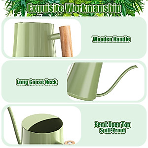 Watering Can Indoor Plants 35oz Sage Green Water Can Indoor Metal Small Water Can Pot with Long Spout for House Bonsai Plants Garden Flower Decorative
