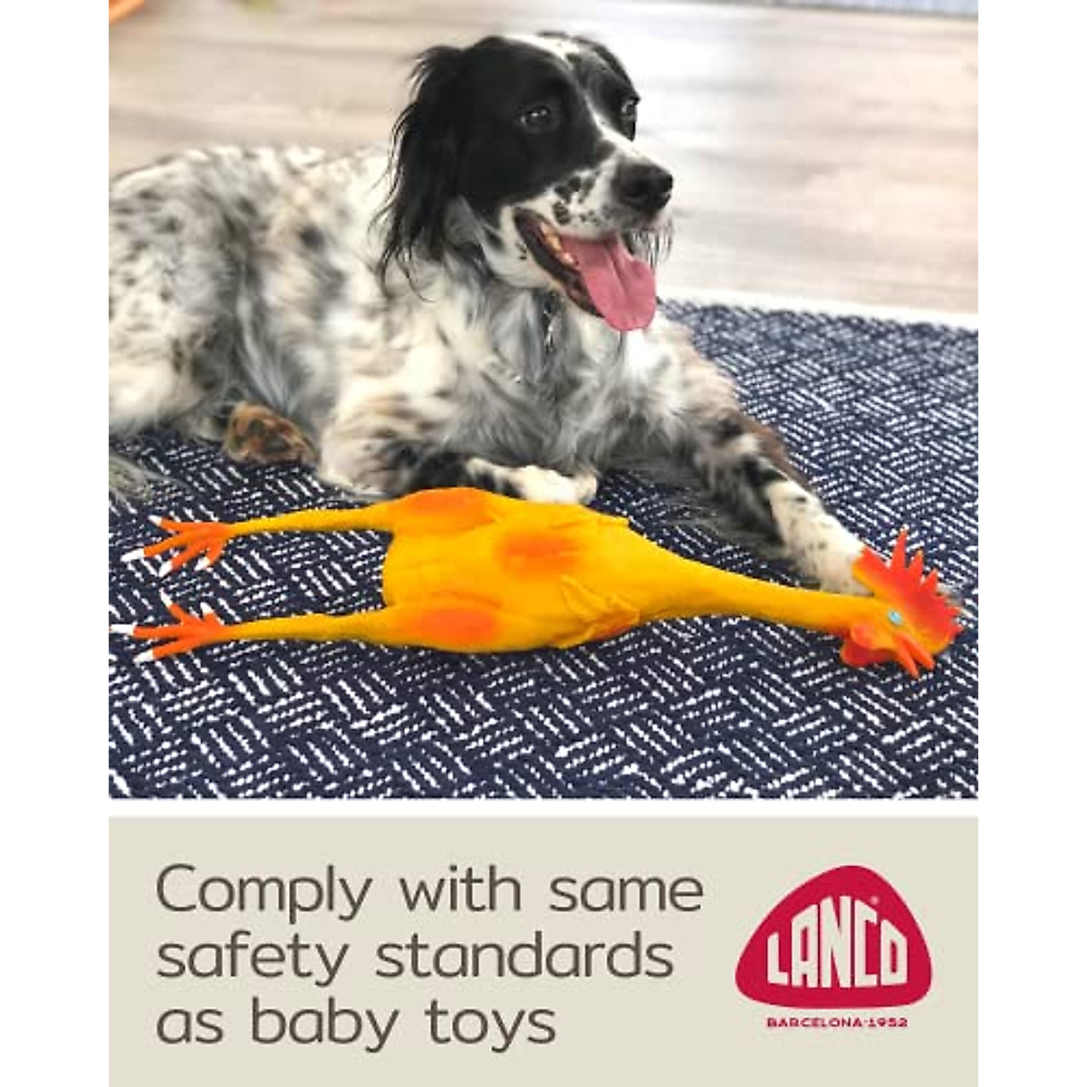 Rubber Chicken Dog Toys - Natural Rubber (Latex) - Lead-Free Chemical-Free - Handpainted - Soft Unstuffed Squeaky (X Large)