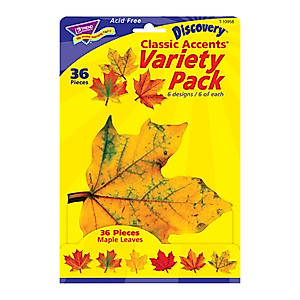 TREND ENTERPRISES, INC. - T-10958 TREND enterprises, Inc. Maple Leaves Classic Accents Variety Pack, 36 ct