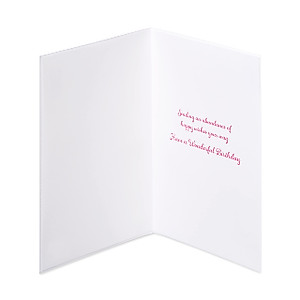 Papyrus Birthday Card for Her - BCRF Partnership (An Abundance of Happy Wishes)