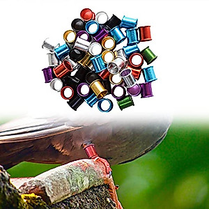 Bothyi 100 Pieces Pigeon Foot Rings,Parrot Leg Bands,Birds Foot Rings Identification 8mm Foot Clip Rings Bands for Pigeon Birds Chicks Poultry Parrots, Multicolor