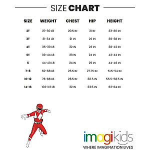 Power Rangers Toddler Boys Fleece Half Zip Hoodie Gray 4T