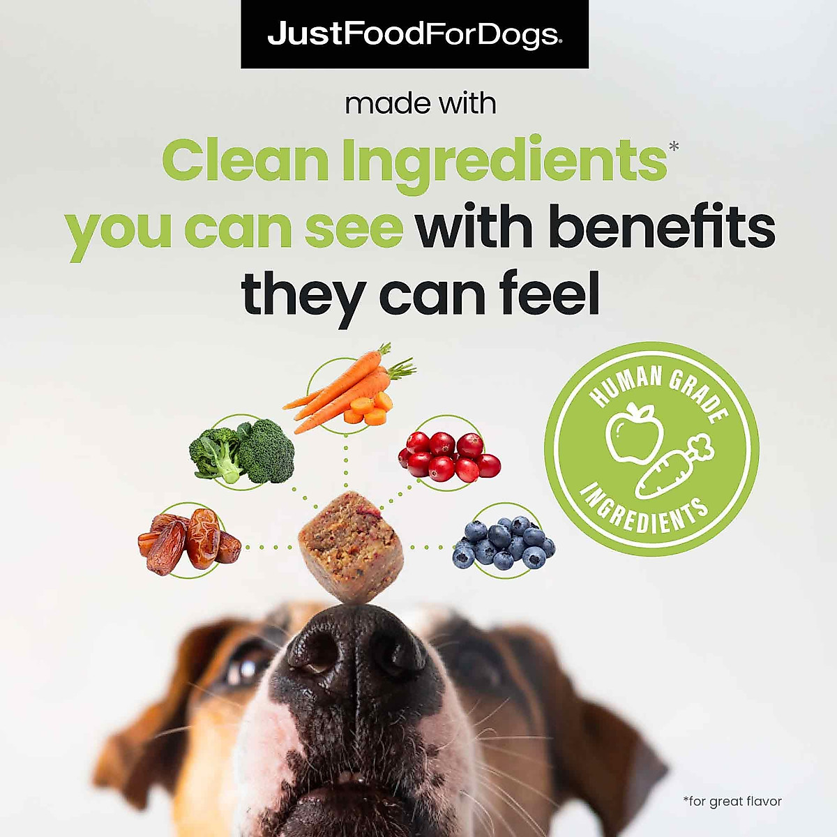 JustFoodForDogs Skin & Allergy Care Soft Chews Supplement for Dogs, Seasonal Allergies, Itchy Skin, Inflammation, Immune Support - 45 Count