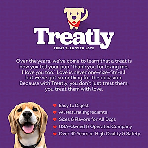 Treatly Combo Chews Beefhide Twist Sticks 5" w/Pork Meat Wrap Dog Chew Treats - 20 Count/1 Pack