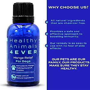 HealthyAnimals4Ever Mange Relief for Dogs - Treatment for Itchiness, Scabs, & Hair Loss Caused by Mites - All-Natural, Homeopathic, Non-GMO, Organic - Gluten, Preservative & Chemical Free - 300 ct