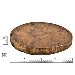 Teak Wood Natural Tree Bark Coaster Set of 5