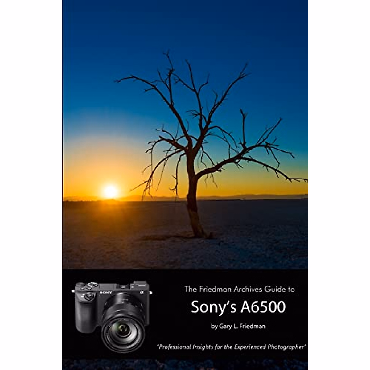 The Friedman Archives Guide to Sony's Alpha 6500 (B&W Edition)