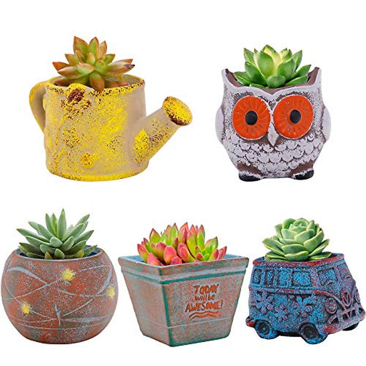 CHENP.HMC Planters Set of 5 Ceramic Succulent Planter Pot with Drainage,Planting Pot Flower Pots,Small Planter Pots for Garden,Cactu,Succulent Pot(Plants Not Included)…