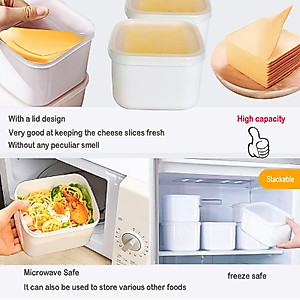 Mixcia 2Pack Cheese Storage Container for Fridge, Sliced Cheese Holder with Lids, Keeps Cheese Fresh and Delicious Cheese Container, Plastic Sliced Cheese Container Set(Cheese Containers)