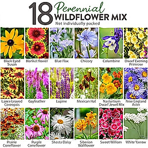 90,000 Wildflower Seeds - 3oz Pure Wild Flower Seed Pack - 18 Variety - Perennial Flower Seeds for Attracting Birds & Butterflies - Open Pollinated, Flower Garden Seeds for Planting Outdoors