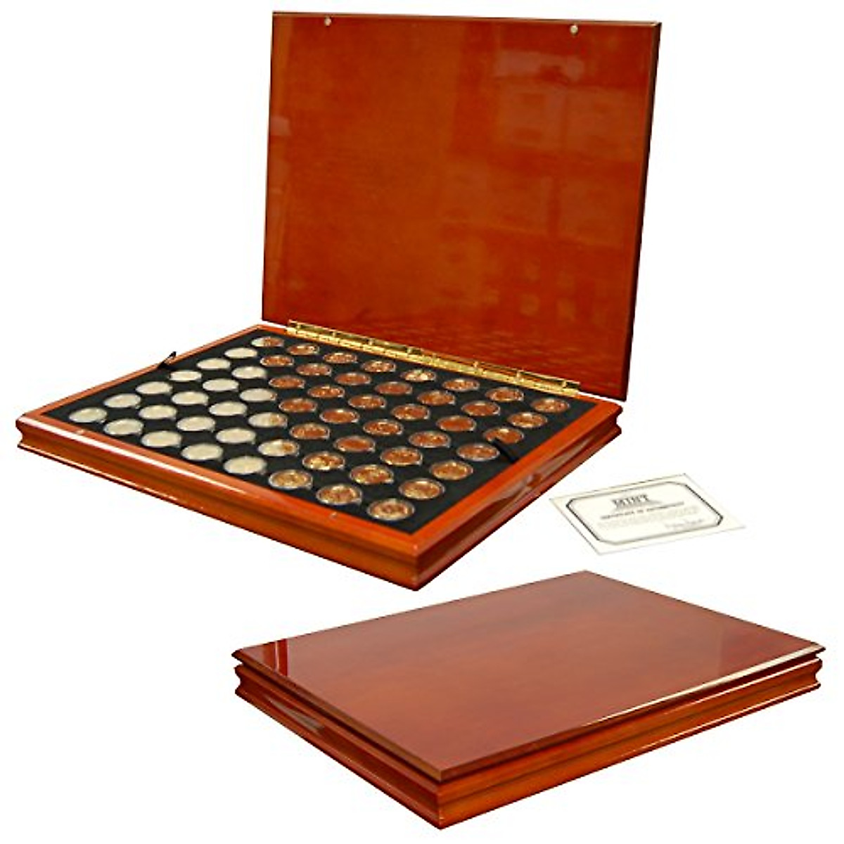 1999-2009 Gold layered State Quarter Set in Collectors Wood Box