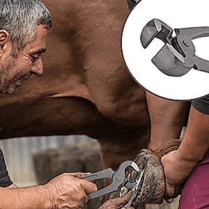 JIOU JIA Horses Farrier Hoof Tool Kit - Hoof Trimmer Horse Hoof Rasp Cutter Set Horseshoe Pliers File Equestrian Supplies with Roll Bag - for Horses Cattle Sheep and Donkeys