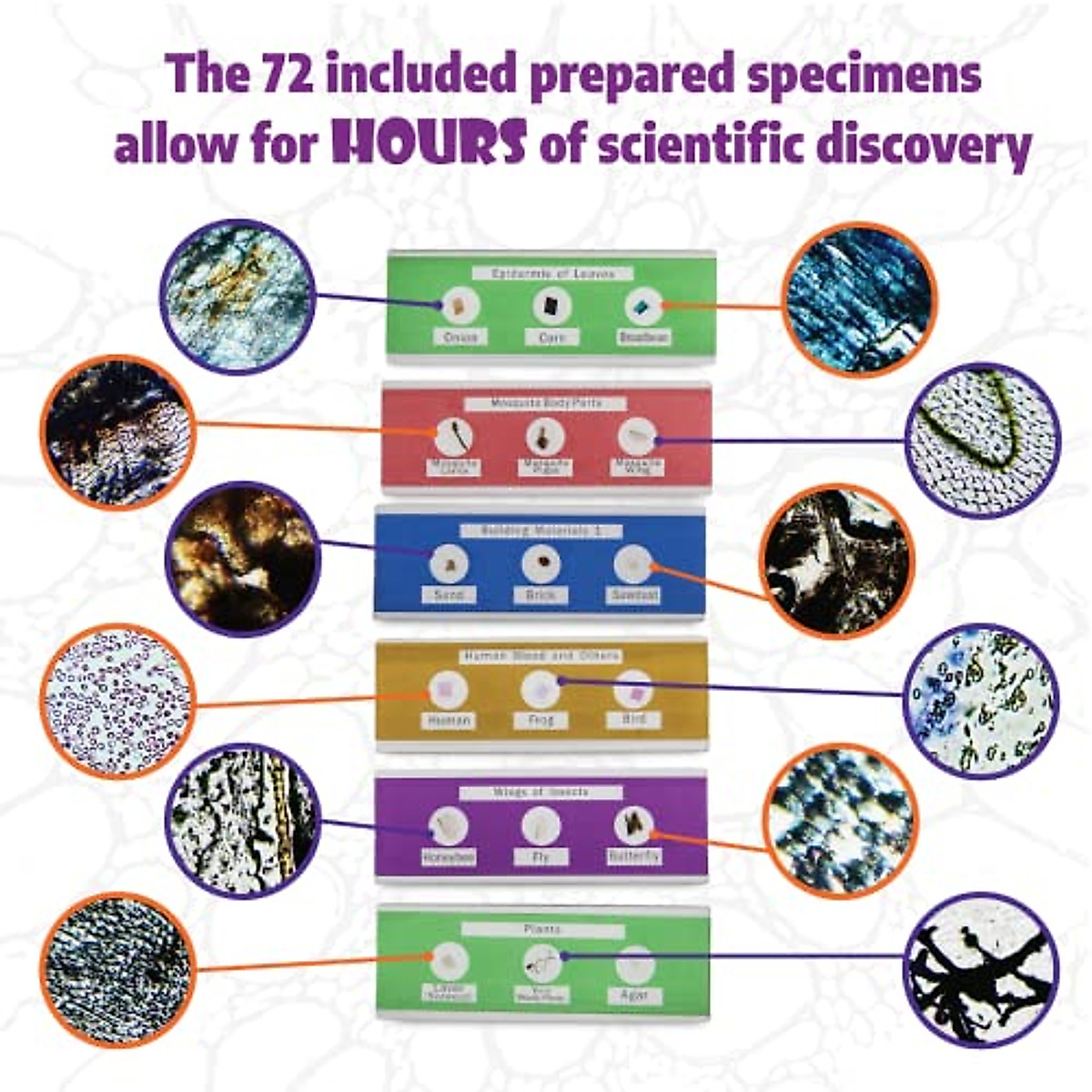Prepared Microscope Slide Kit (72 Specimens) for Basic to Intermediate Biological Education - Shatterproof Microscope Slides for Kids w/ 72 Unique Specimens of Plants, Algae, Pollen & More