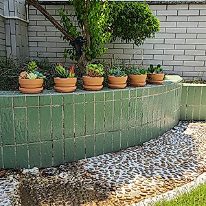 Yishang 5 Inch Shallow Terracotta Clay pots with Drain Hole,Ceramic Plant pots for Indoor/Outdoor Plants,Unglazed Bonsai Planter with Saucer/Tray for Cacuts/Succulent Plants