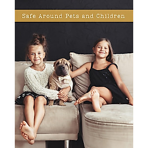 Honeysuckle Delicious Natural Pure Essential and Fragrance Oil Perfume Roll On with Organic Jojoba Oil, Eau de Toilette, Small-Batch, Alcohol Free, Handmade in California