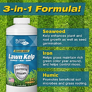 Lawn Kelp Fertilizer - Seaweed Fertilizer for Protecting & Greening Lawns (3 in 1 Formula) - Liquid Seaweed Fertilizer for Plants - Liquid Kelp Fertilizer - Organic Plant Fertilizer - Seaweed Extract