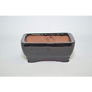 Bonsai Ceramic Pot 5" Rectangle Shape, Black Pot with draining Holes.