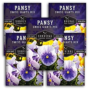 Survival Garden Seeds - Swiss Giant Mix Pansy Seed for Planting - 5 Packs with Instructions to Plant and Grow Beautiful and Edible Pansies in Your Home Vegetable Garden - Non-GMO Heirloom Variety