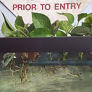 Jegtew 8 Pack Suction Cups with 8 Pieces Adjustable Zip Ties， Aquarium Suction Cup for Aquarium Fish Tank Binding Moss Shrimp Dodging Nest