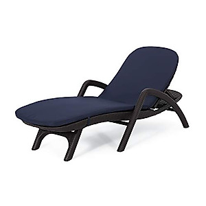 Christopher Knight Home Chaise Lounge Set, Dark Brown + Navy Blue