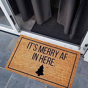 TUNKENCE Entrance Doormat Durable Front Welcome Mat Door Matts Outdoors Door Front Fluffy Carpet Bathroom Lobby Fluffy Floor Mat for Home Indoor Farmhouse Funny Kitchen Rugs Patio, 16x24Inch