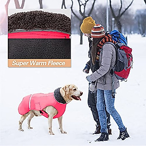 Doglay Dog Winter Coat with Thicken Furry Collar, Fleece Lining Reflective Warm Dog Jacket, Waterproof Adjustable Dog Clothes for Cold Weather, Soft Puppy Vest Apparel for Small Medium Large Dogs
