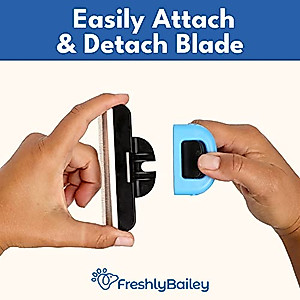 Freshly Bailey Deshedding Brush for Short Haired Dogs & Cats - Cat and Dog Brush for Shedding Short Hair - Highly Effective Deshedder Grooming Comb