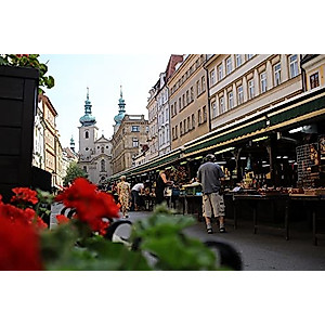 Canon EF-S 24MM 1.2.8 STM