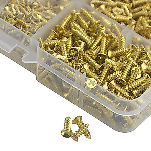 XINGYHENG 1200pcs 6 Kinds M2 M2.5 Gold-Plate Carbon Steel Flat Head Self Tapping Screw Stainless Cross Recessed Pan Head Screw Assortment Kit Collected in A Convenient Case