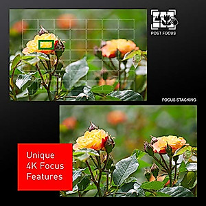 Panasonic Lumix LX100 II Large Four Thirds 21.7 MP Multi Aspect Sensor 24-75mm Leica DC VARIO-SUMMILUX F1.7-2.8 Lens Wi-Fi and Bluetooth Camera with 3" LCD, Black (DC-LX100M2)