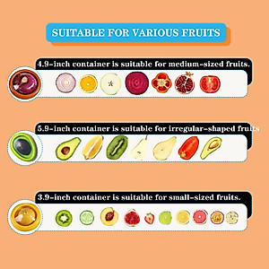 WREAGD Reusable Fruit Vegetable Storage Box Container with Lids for Fridge (Set of 4)