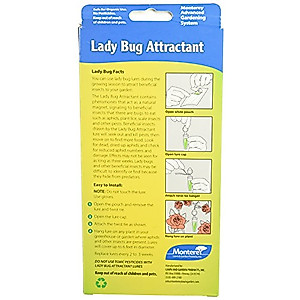 Monterey LG8510 Lady Bug Lure, Pack of 3