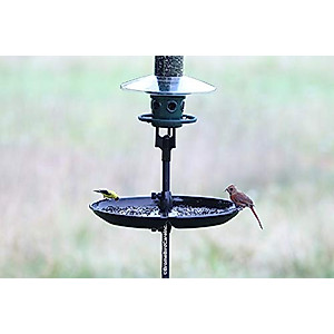 Seed Catcher Tray (Seed Buster) for Wild Bird Feeders, fits only 1-INCH STRAIGHT BIRDING pole (outside diameter), pole and feeder NOT included