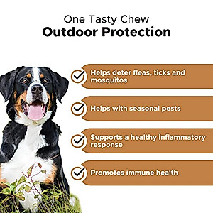 Pet Honesty Flea & Tick Defense Supplement - Natural Flea and Tick Soft Chew for Dogs, Pest Defense to Promote Body's Natural Response, Oral Flea Pills for Dogs - 90 ct