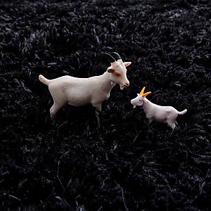 FJZFING Black Round Rug Ultra-Soft Plush Modern 5x5 Circle Area Rug for Kid's Bedroom, Fluffy Shag Circular Rug for Nursery Room, Non-Slip Home Decor Cute Black Carpet for Teen's Room