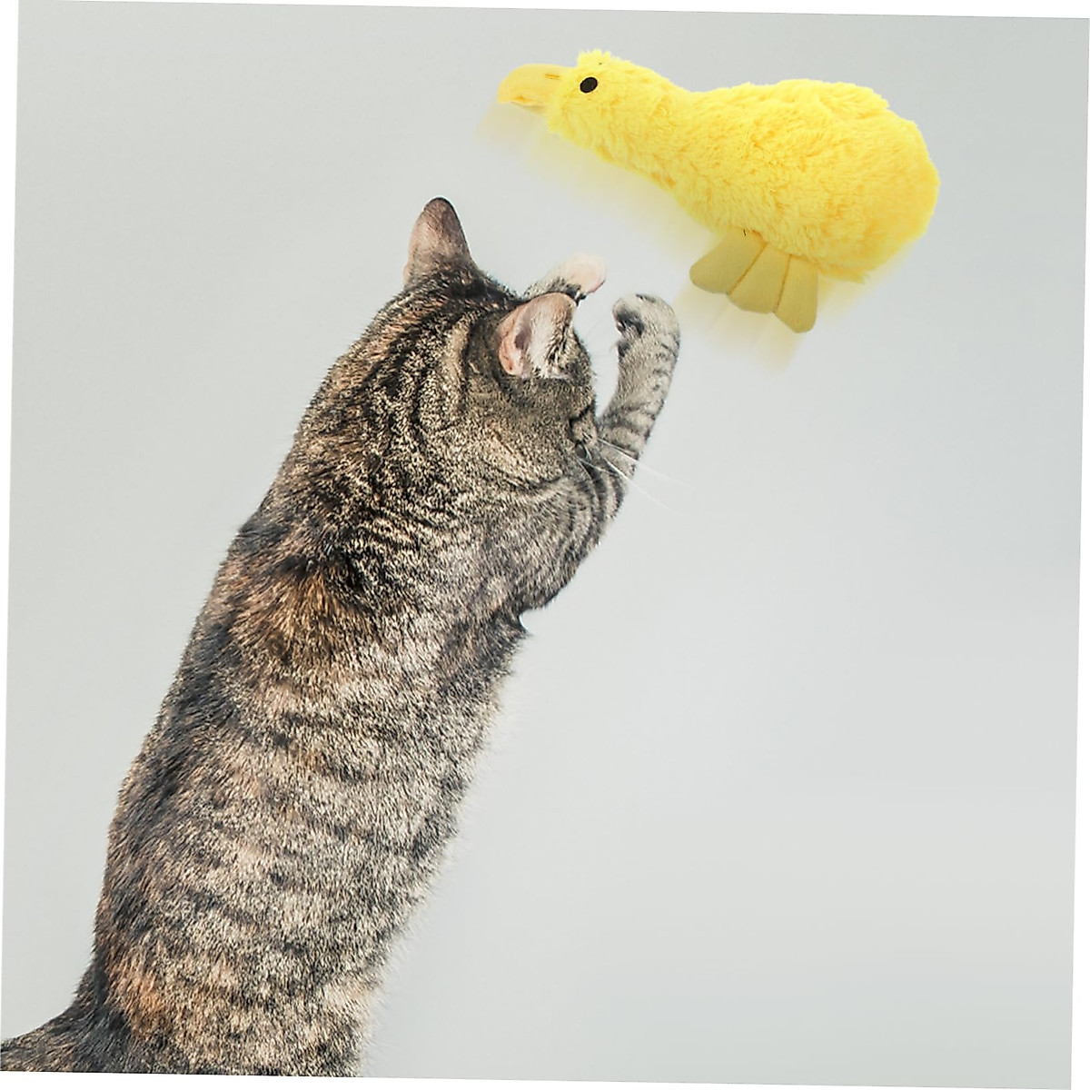 balacoo Puppy Toys Dog Toy Squeakers Dog Toys Small Dogs Dog Toys Squeaky Small Dog Squeaky Toys Shaped Dog Squeaky Toy Dog Interactive Toys Small Dog Toy Dogs Toys Plush pet The Dog