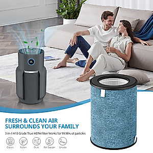 HP302 Replacement Filter Compatible with Shark HP302, HP301 NeverChange Air Pur-ifier MAX, HP200 Series Air Puri-fier MAX, 3-in-1 H13 Grade True HEPA Filter, New Version - 1 Pack