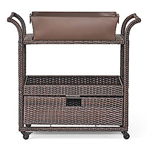 Christopher Knight Home Ravenna Barcart, Multibrown