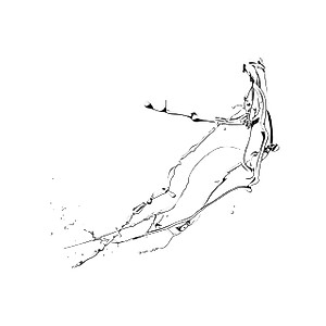 Curlsmith Full Lengths Density Elixir 2 oz / 60 mL