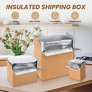 YSSOA Thermo Chill Double Insulated Carton with Foil Insulated Bag Liner, Small Mailing Box, Shipping Box for Mailing, Shipping, Packing, Moving,Box Inside Dimension 6’’x5’’x9’’, 2 Pack.