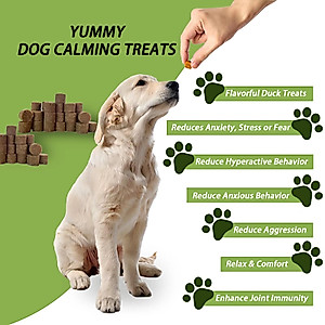 GKD Calming Bites for Dogs, All Natural Calming Chews for Dogs, Dog Anxiety Relief Stress, for Hyper Dogs, Aid with Separation Dog Calming Treats - Travel, Thunder