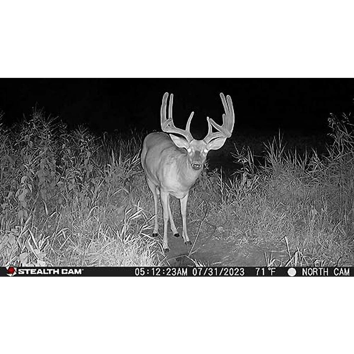 STEALTH CAM Fusion X-Pro Dual Sim 36 MP Photo & 720P HD Video 0.4 Sec Trigger Speed Wireless Hunting Trail Camera - Available on AT&T & Verizon